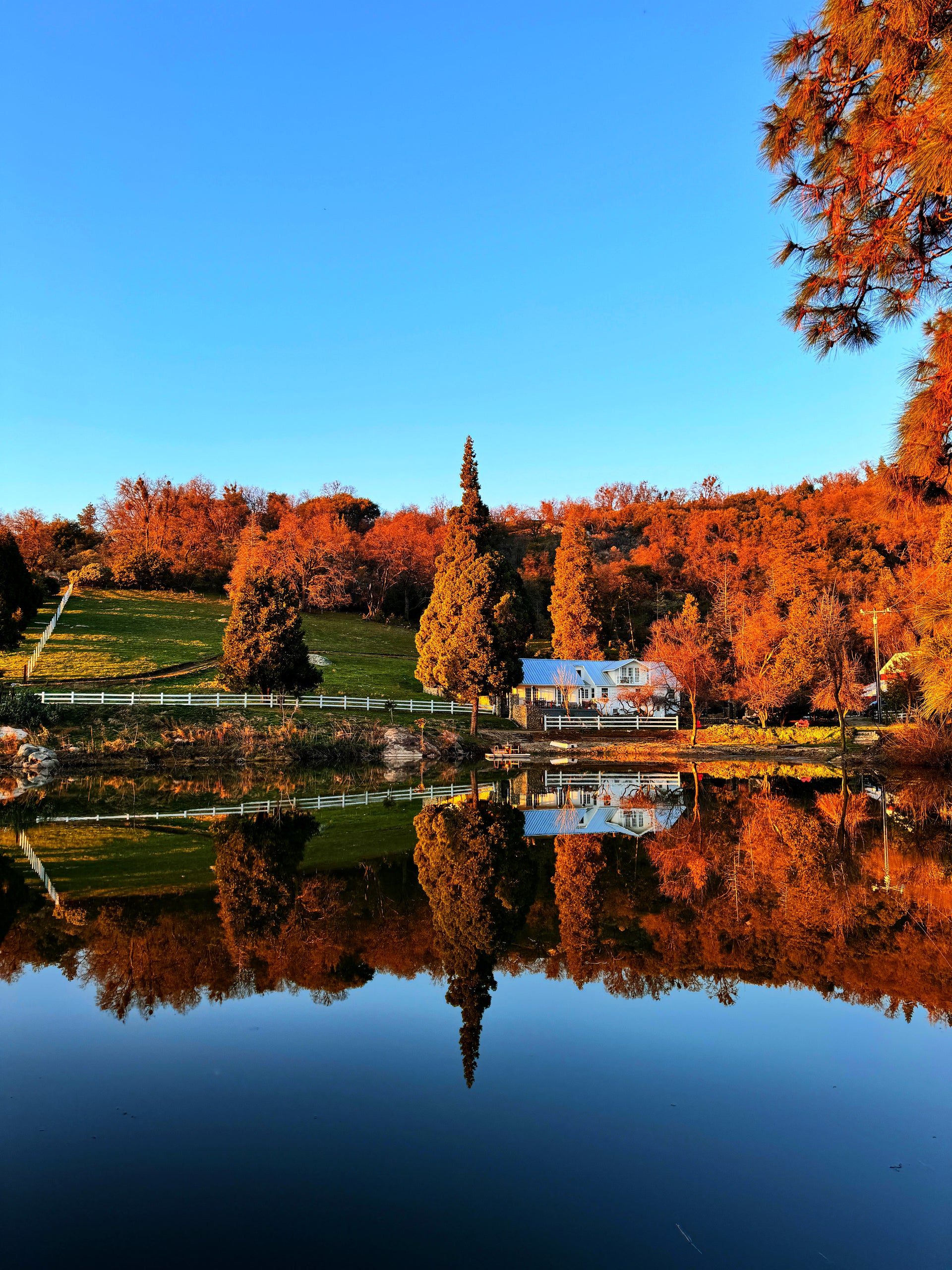 Ruby Ranch